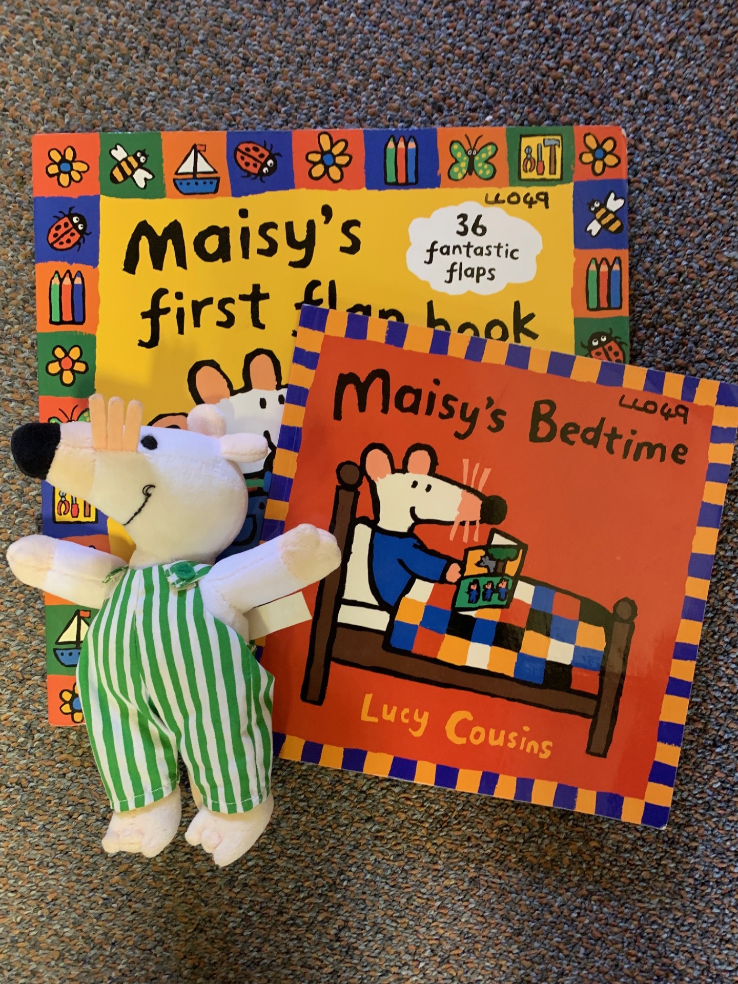 LL049 Set of two Maisy Books - South Leicestershire Mobile Toy Library
